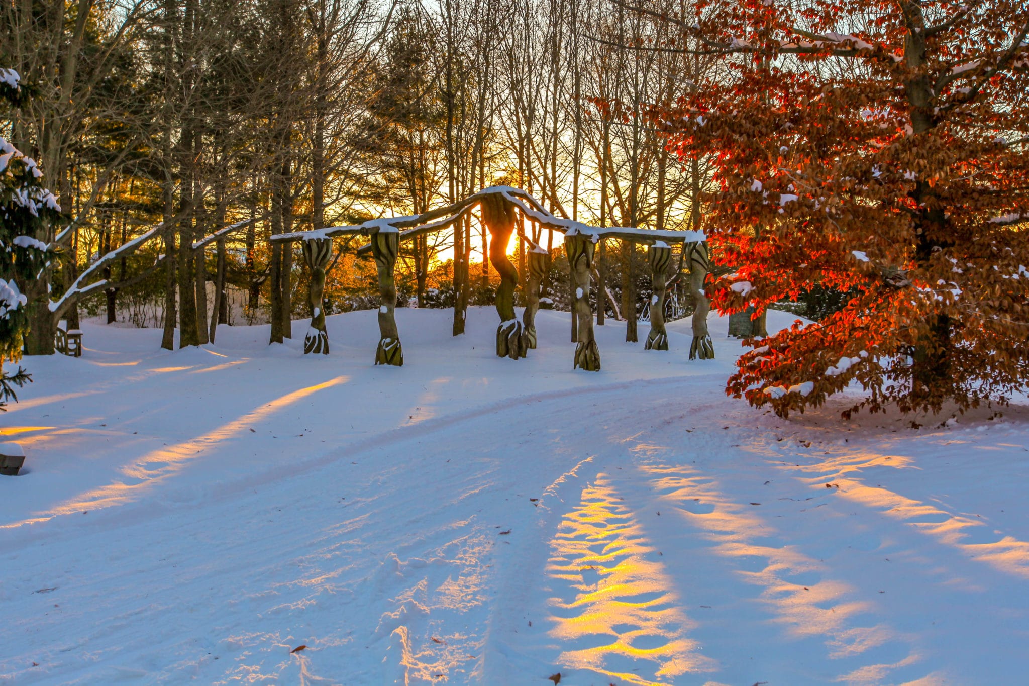 Winter Wonders - Grounds For Sculpture