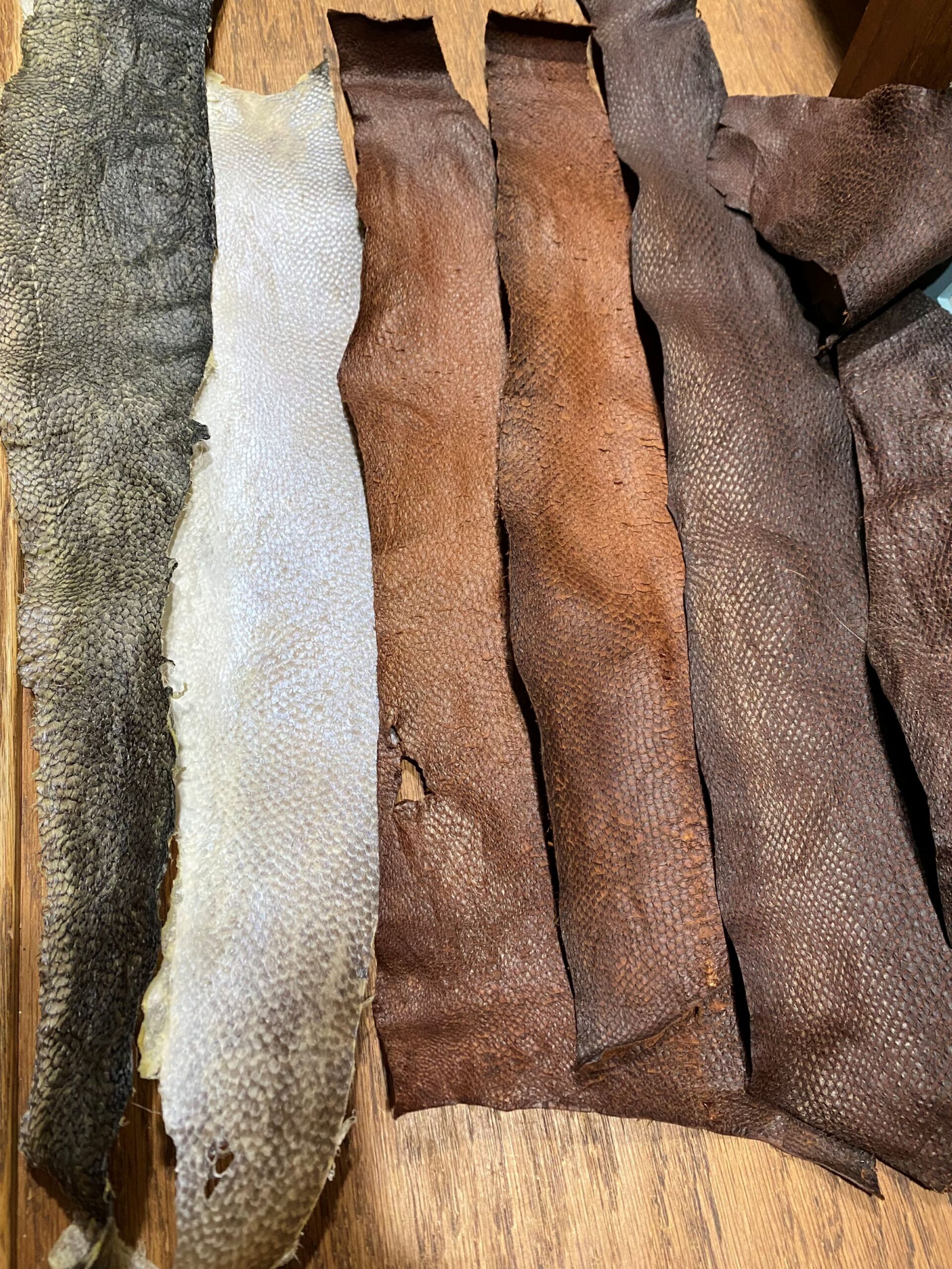 Fish Skin Tanning (Multi-Session) - Grounds For Sculpture